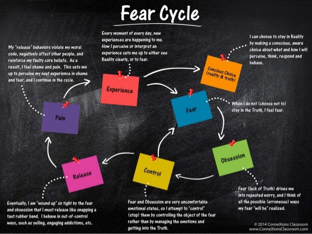 Understand The Fear Cycle and Free Yourself from Fear!