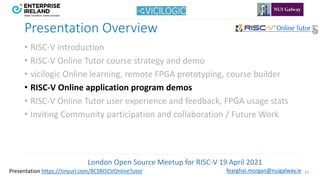 RISC-V Online Tutor | PDF