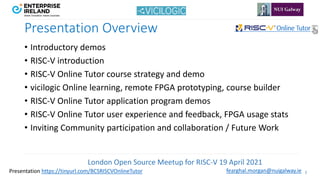 RISC-V Online Tutor | PDF