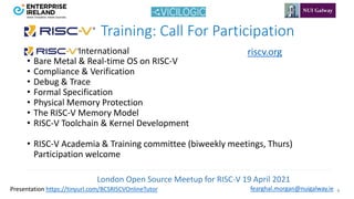 RISC-V Online Tutor | PDF