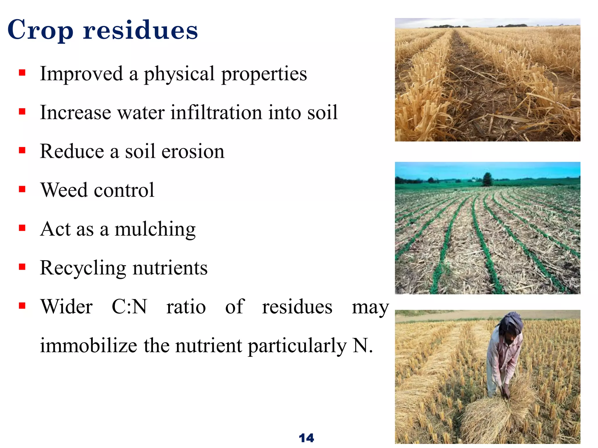 Impact of nutrient management practices on feasibility of organic ...