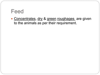 Feasibility study of a dairy farm | PPTX