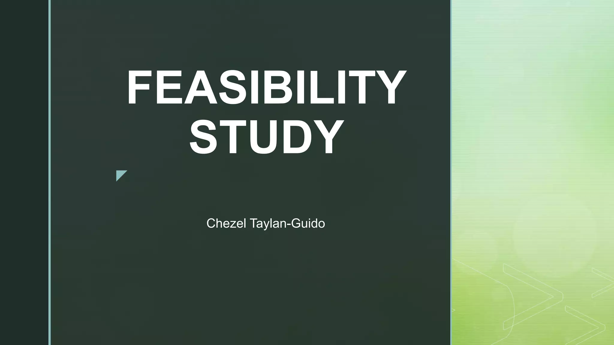 FEASIBILITY STUDY.pptx