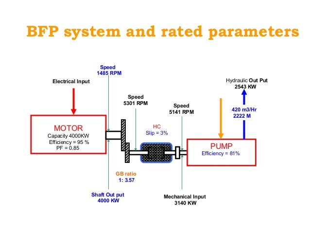 Feasibility study bfp