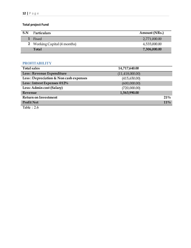 Feasibiltiy report | PDF