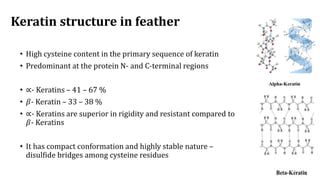 Feather Bioprocessing and novel applications.pptx