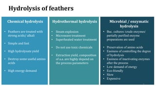 Feather Bioprocessing and novel applications.pptx