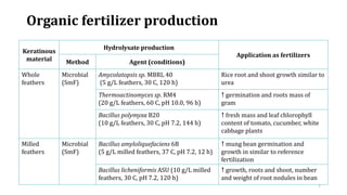Feather Bioprocessing and novel applications.pptx