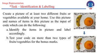 Feature Detection & Representation.pptx t | PPTX