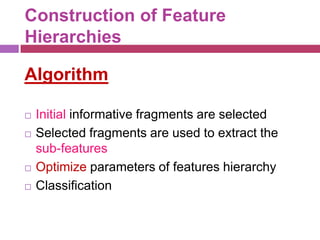 Feature Hierarchies for Object Classification | PPT