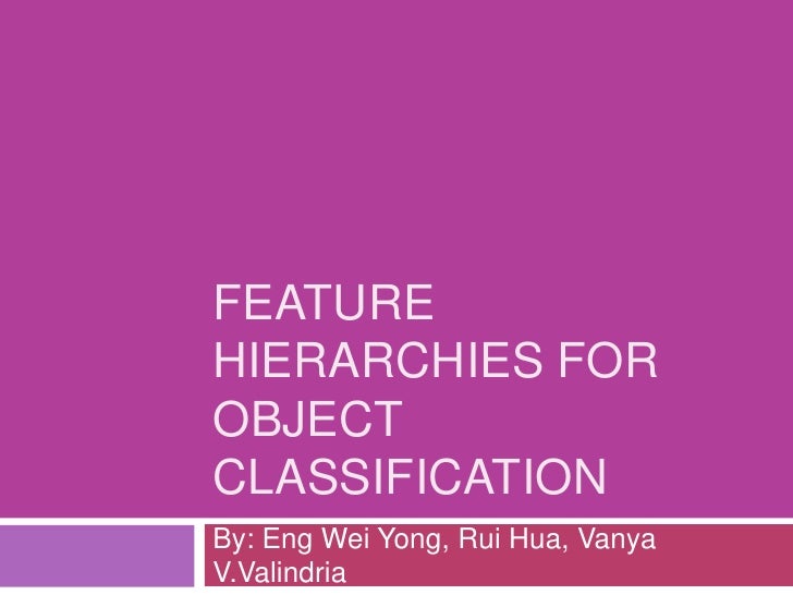 Feature Hierarchies For Object Classification