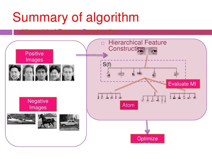 Feature Hierarchies For Object Classification