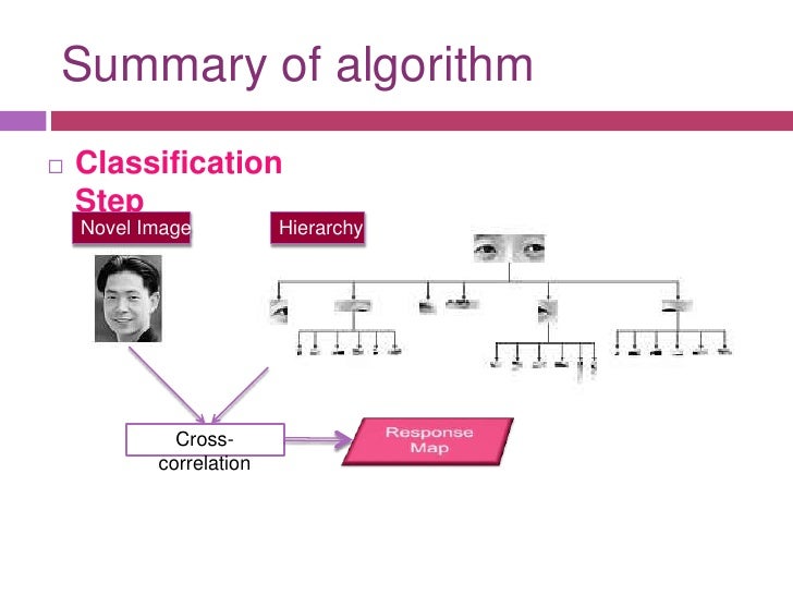 Feature Hierarchies For Object Classification
