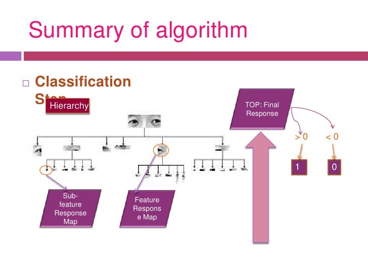 Feature Hierarchies for Object Classification