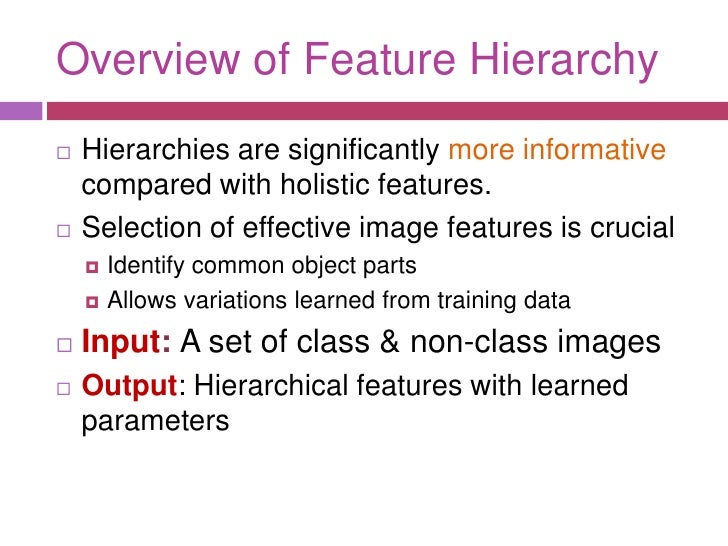 Feature Hierarchies for Object Classification