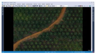 Feature extraction with eCognition developer | PPTX