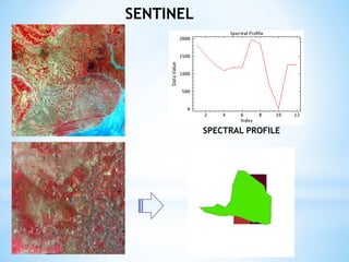 Features Identification through Satellite Image | PDF