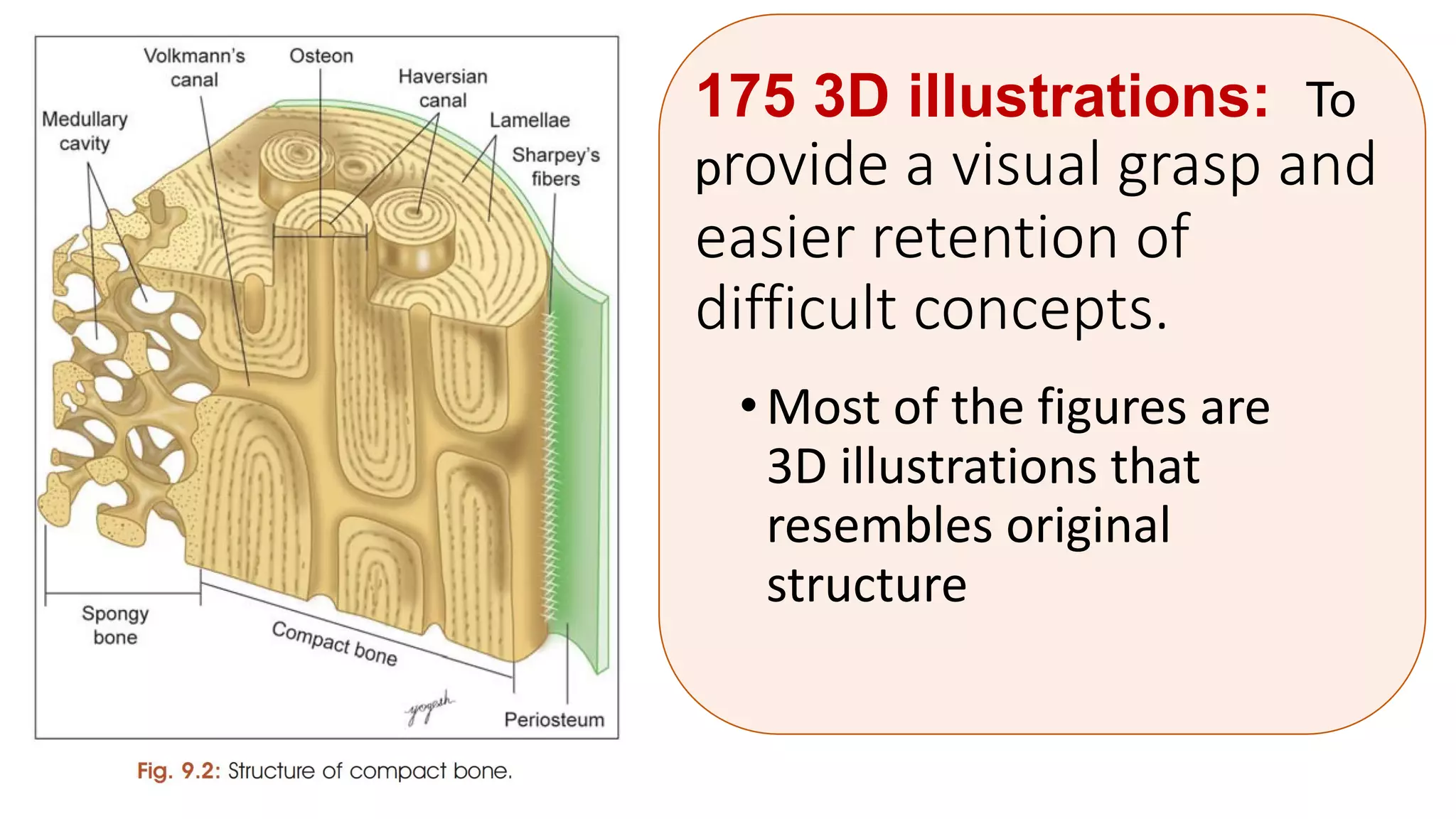 Features of human histology by dr yogesh | PDF