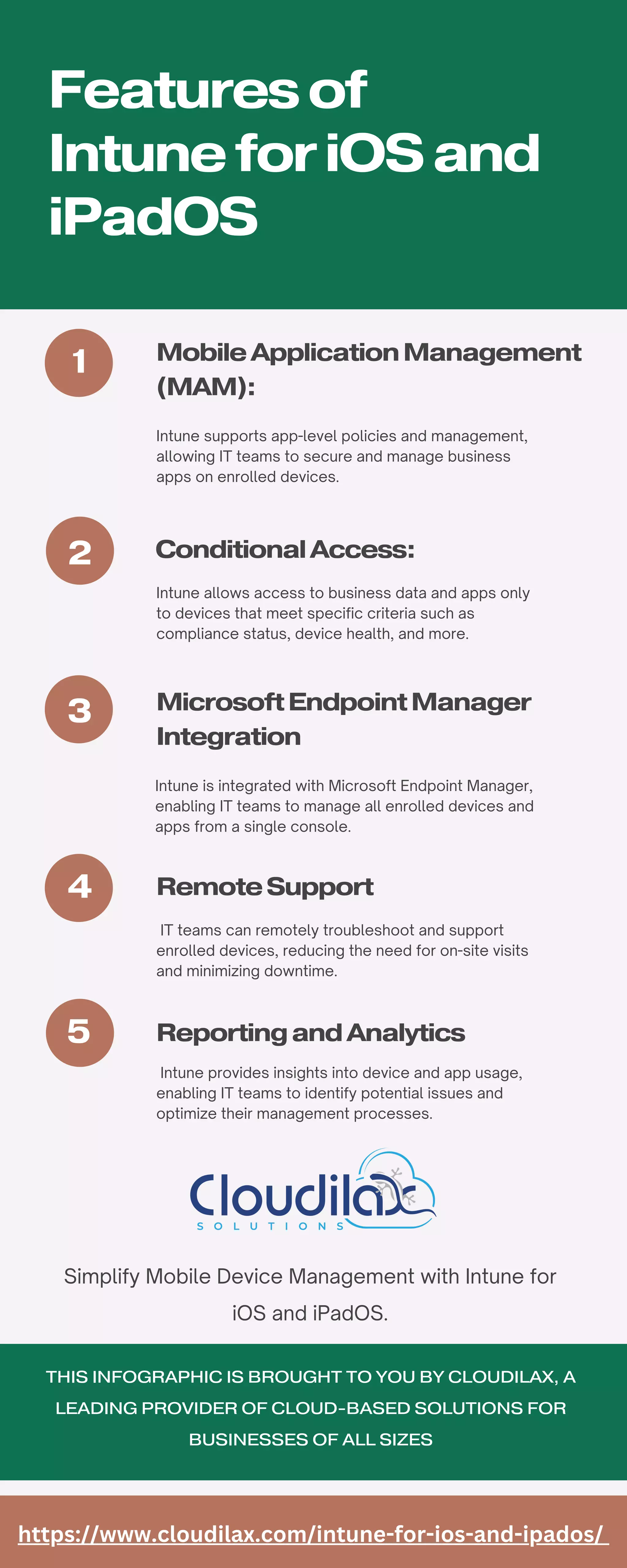 Intune's 5 Features for iOS and iPadOS: Advantages | PDF