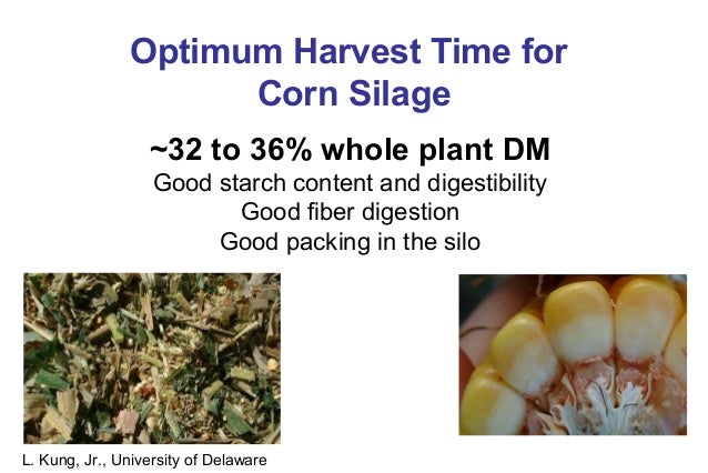 Forage Fermentation: How to Make Good Silage
