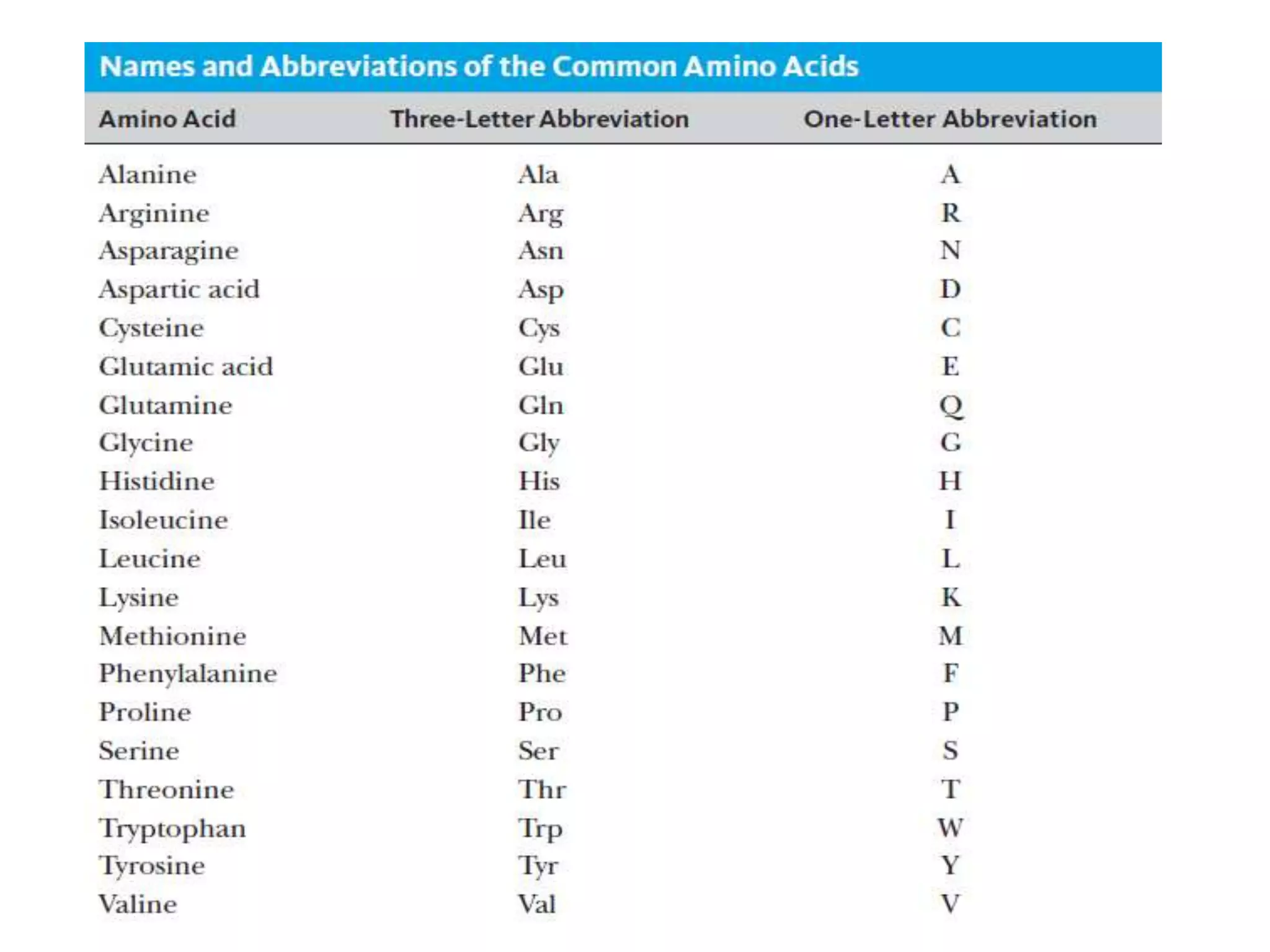 Structure Of Amino Acids Pptx