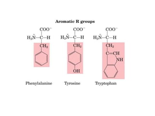 Structure of amino acids | PPTX