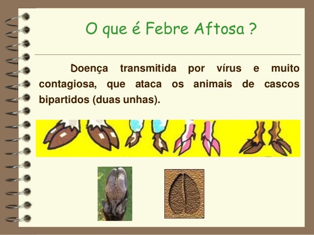 Febre aftosa reg poa