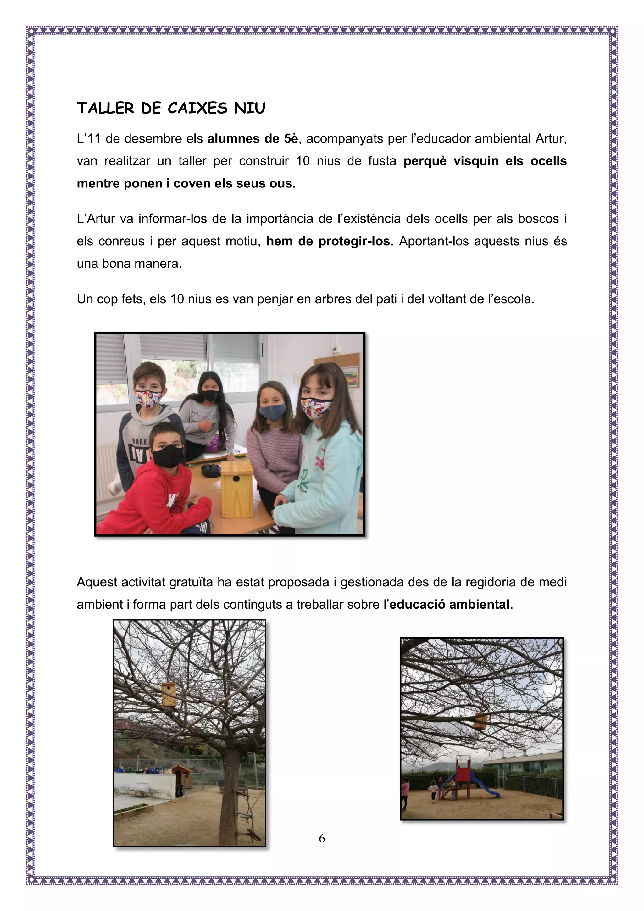 Boli Viu Febrer 2021 | PDF