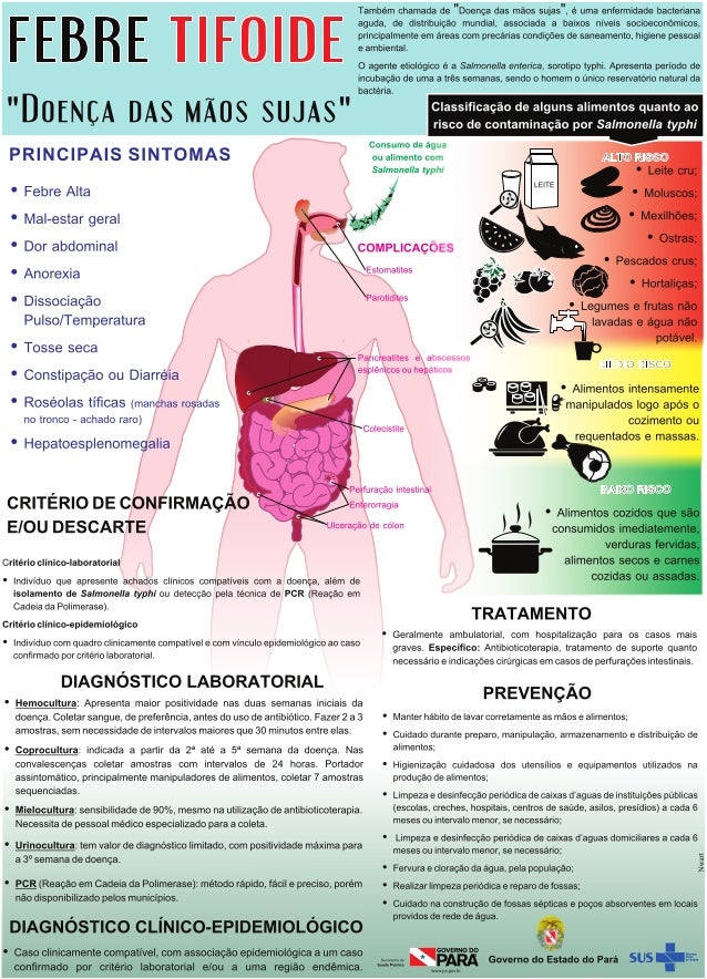 Febre tifoide cartaz