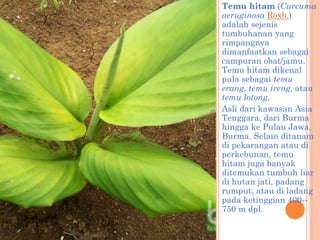 Febri mempresentasikan obat herbal | PPT