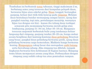 Febri mempresentasikan obat herbal | PPT