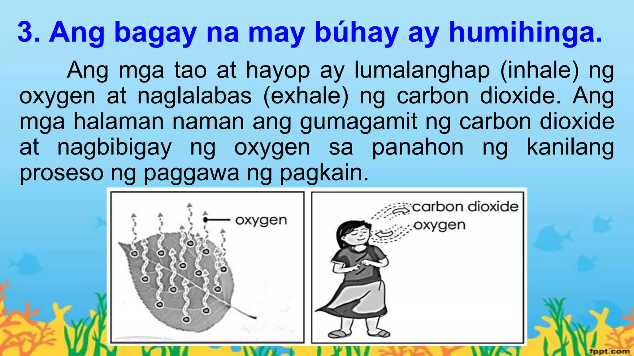 February-22-2021-Lesson.pptx