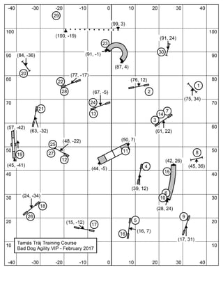 Dog agility course maps | PDF