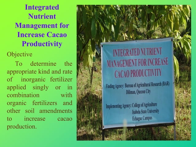 R & D/E Project on Cacao Production, Processing and Utilization in ...
