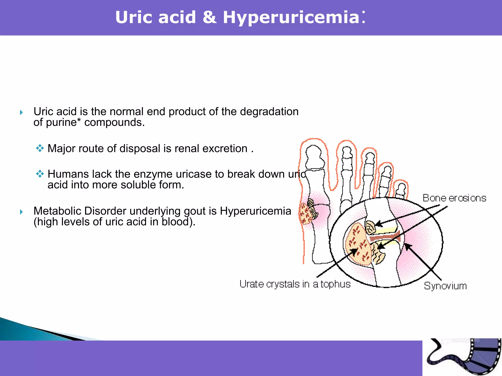 Febuxostat medical slides | PPTX