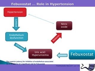 Febuxostat medical slides | PPTX