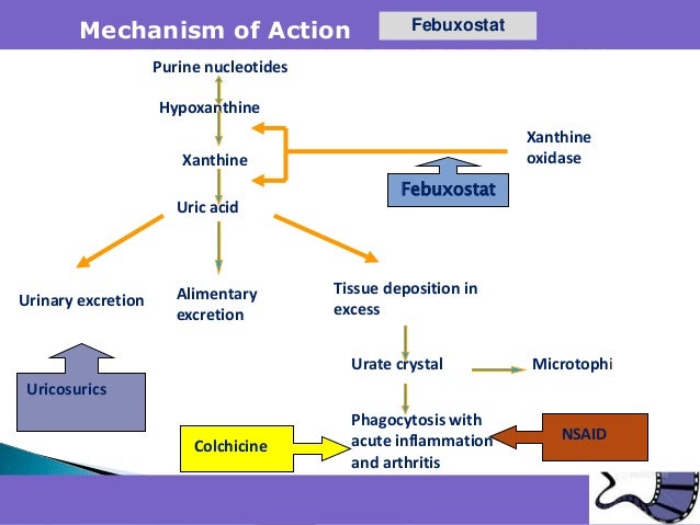 Febuxostat medical slides