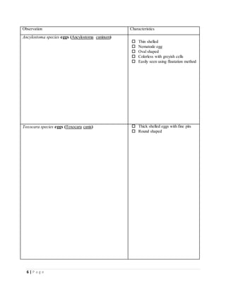 Fecal examination lab report | DOCX