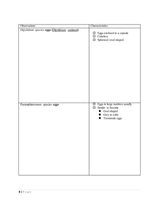 Fecal examination lab report | DOCX