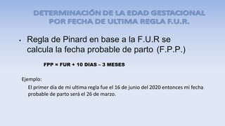 fecha probablede parto.pptx
