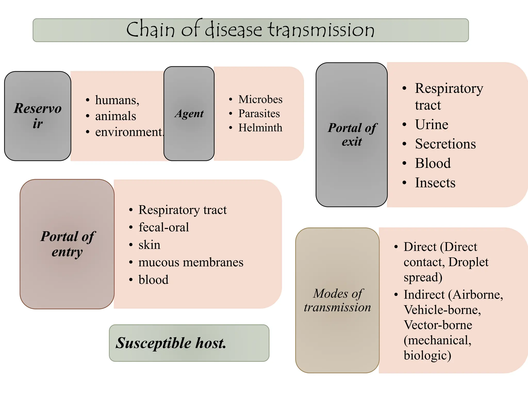 Feco-oral diseases.pdf