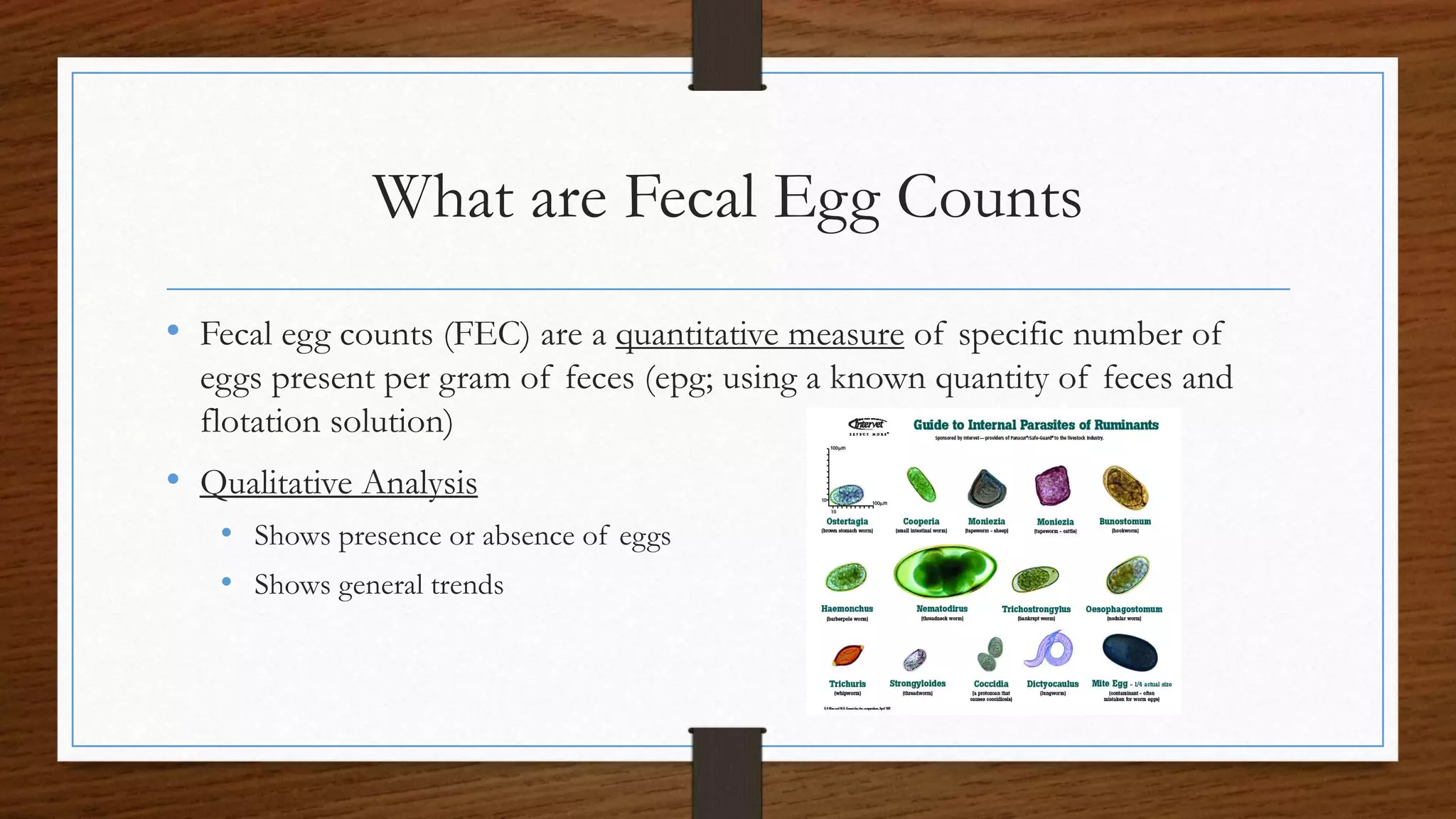 Fecal Egg Counting Primer | PPTX