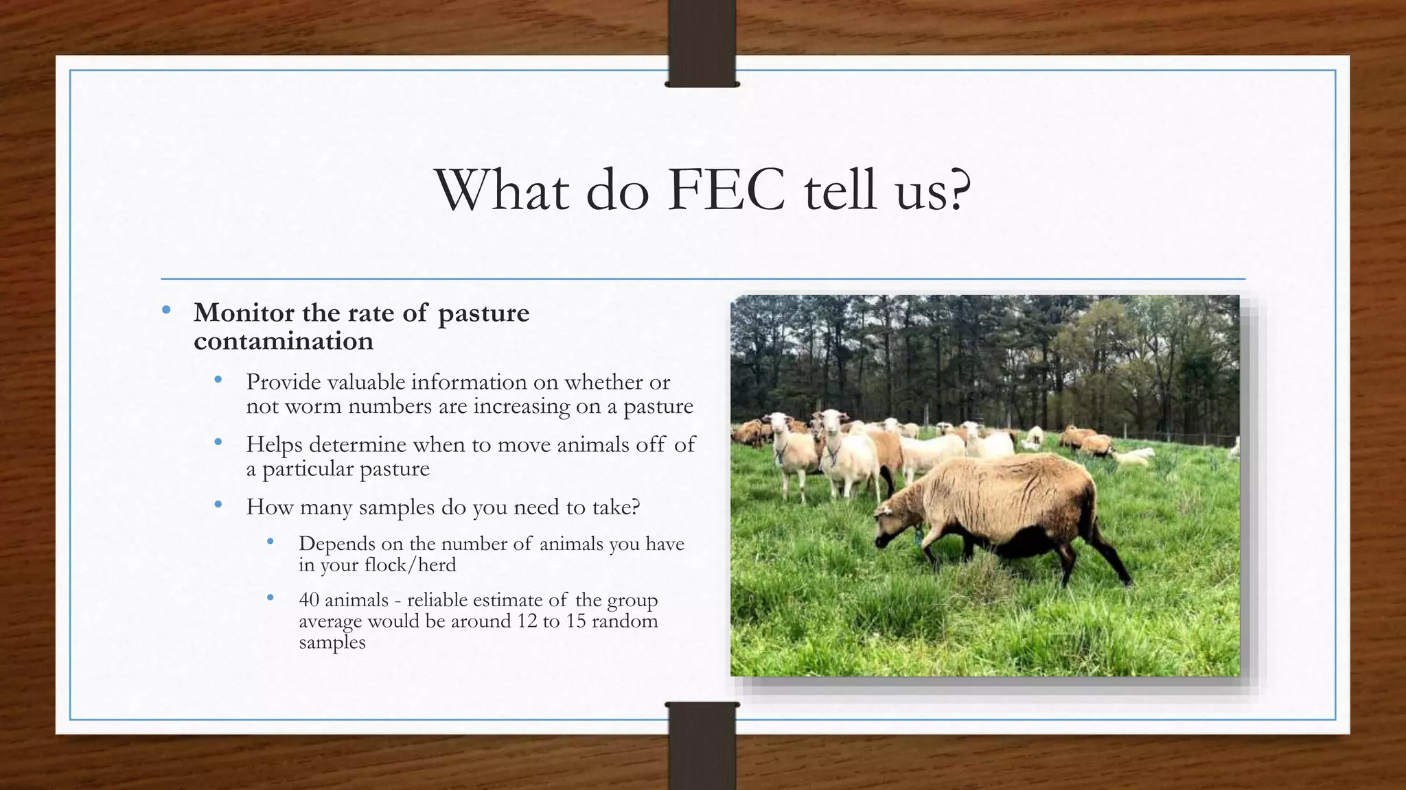 Fecal Egg Counting Primer | PPTX