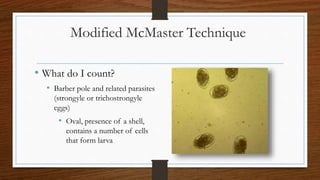 Fecal Egg Counting Primer | PPTX