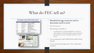 Fecal Egg Counting Primer | PPTX