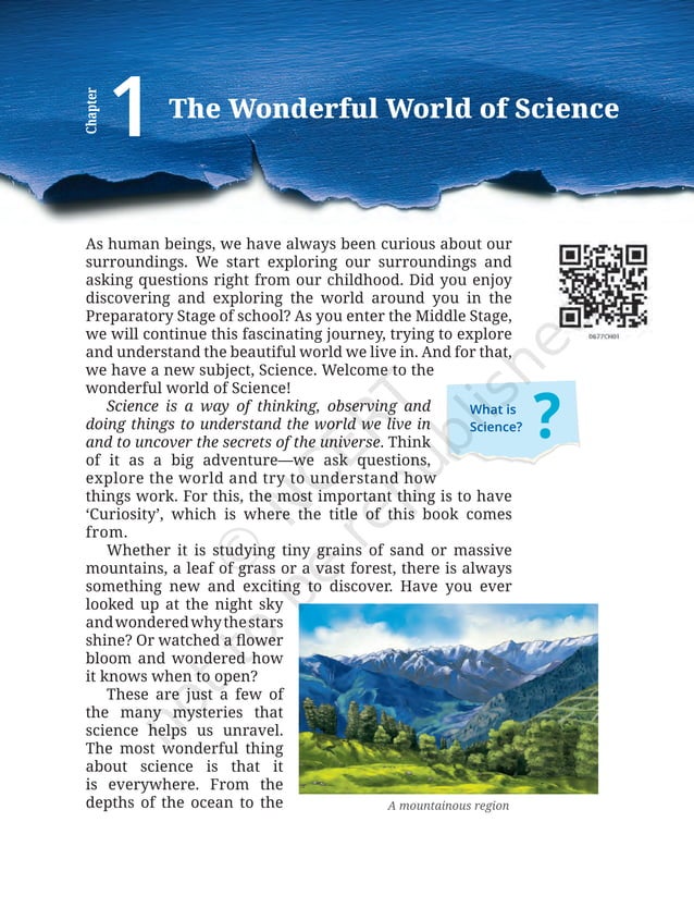 wonderful world of science class 6 curiosity | PDF
