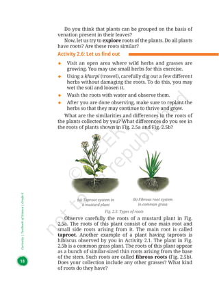 wonderful world of science class 6 curiosity | PDF