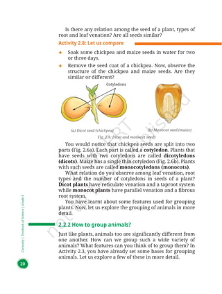 wonderful world of science class 6 curiosity | PDF