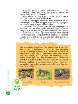 wonderful world of science class 6 curiosity | PDF