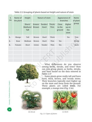 wonderful world of science class 6 curiosity | PDF
